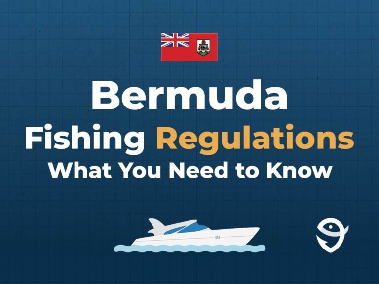 Fishing in BERMUDA: The Complete Guide