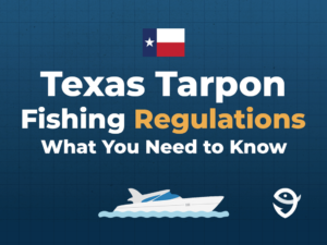 Texas Tarpon Fishing Regulations