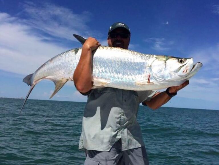How to Go Tarpon Fishing in Texas: An Angler’s Guide for 2023