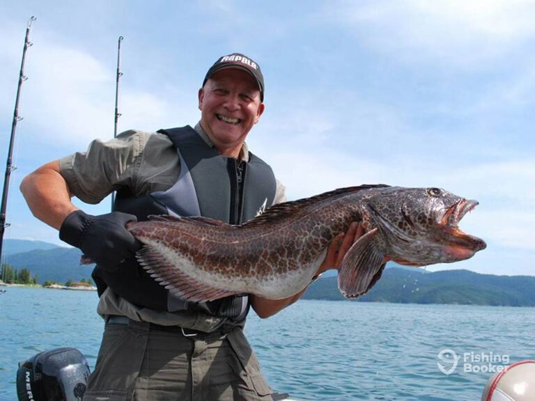 How to Fish for Lingcod: The Complete Guide for 2024