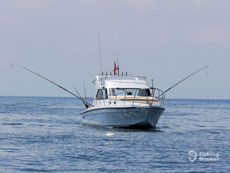 Fishing in BALI: The Complete Guide