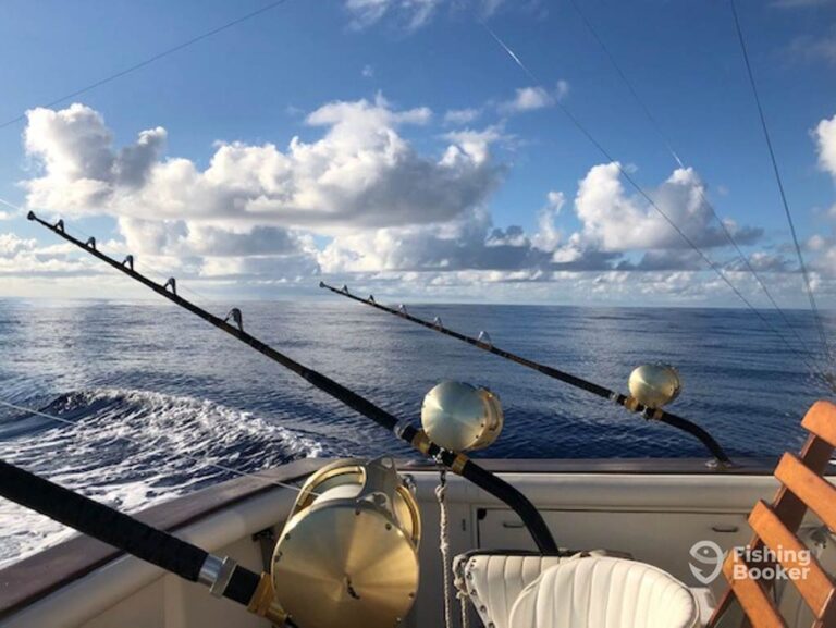 Marlin Fishing in Hawaii: An Angler’s Guide for 2026