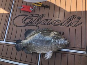 Fishing in LAGUNA MADRE: The Complete Guide