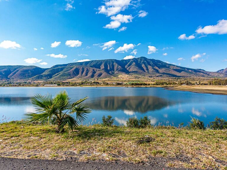 How to Go Bass Fishing in Mexico: An Angler’s Guide for 2026
