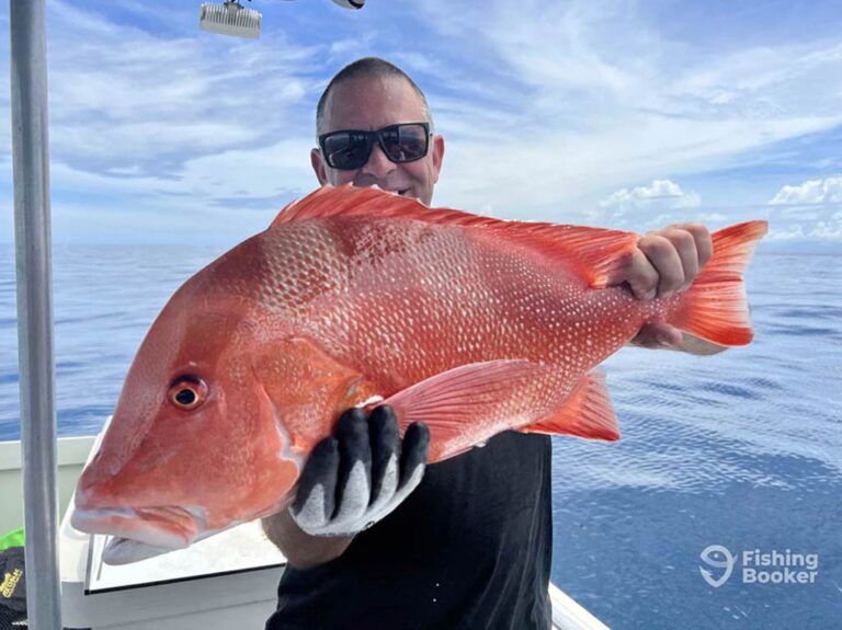 Fishing in DARWIN: The Complete Guide