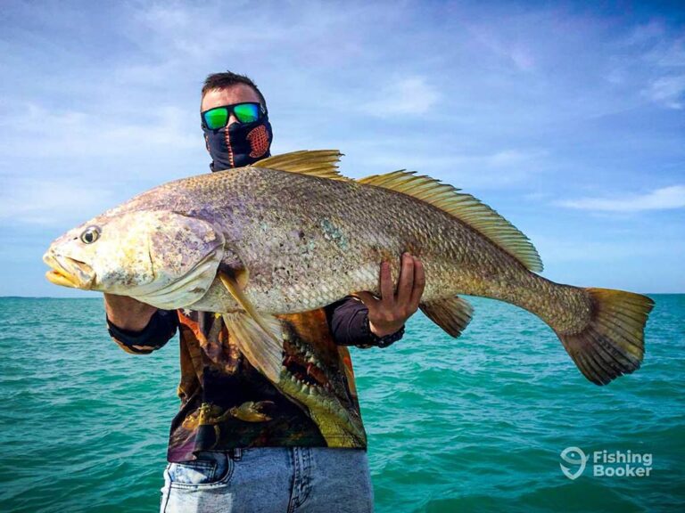 Fishing in DARWIN: The Complete Guide