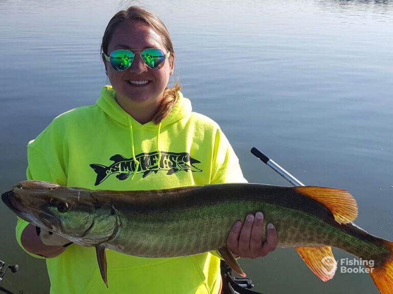 Fishing in ILLINOIS: The Complete Guide