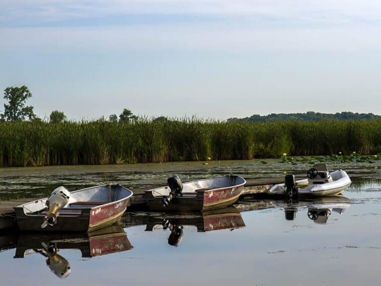 Fishing in ILLINOIS: The Complete Guide