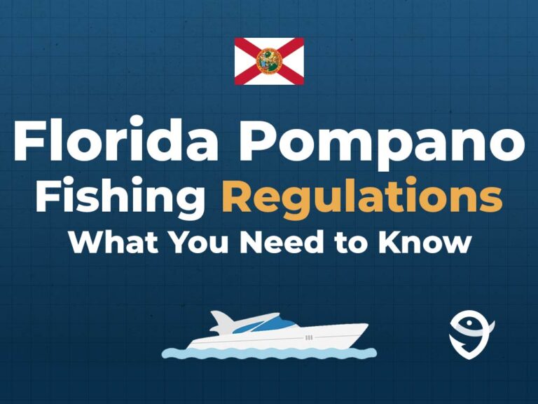 How to Go Pompano Fishing in Florida: An Angler’s Guide for 2026