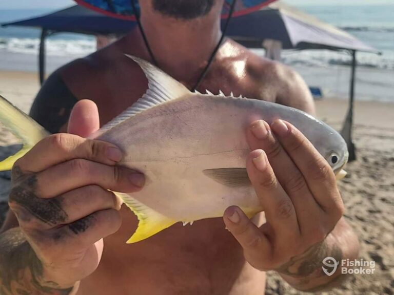 How to Go Pompano Fishing: A Complete Guide for 2026