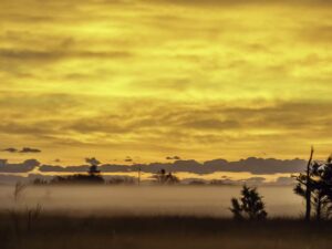 Fishing in WANCHESE: The Complete Guide