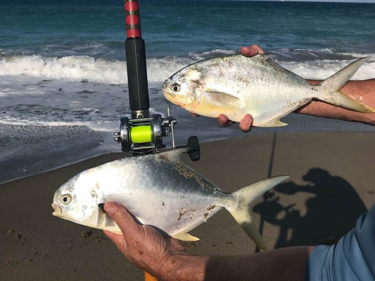 How to Go Pompano Fishing: A Complete Guide for 2025