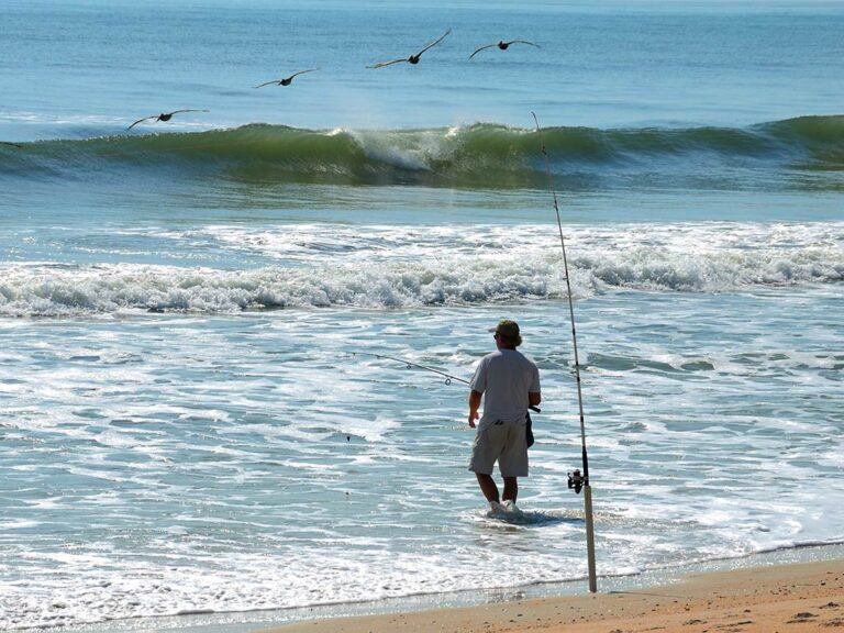 Surf Fishing Rods: A Beginner’s Guide for 2025