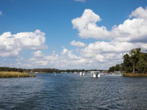 FishingBooker: Crystal River Fishing: The Complete Guide for 2024