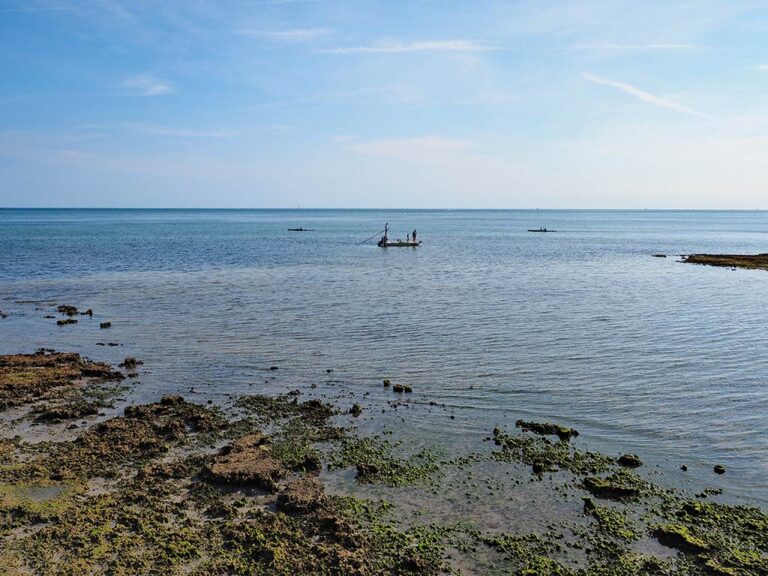 How to Go Flounder Fishing in Florida: An Angler’s Guide for 2026