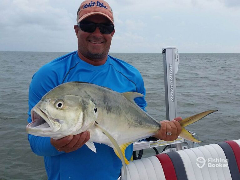 How to Go Fishing for Jack Crevalle: The Complete Guide for 2026