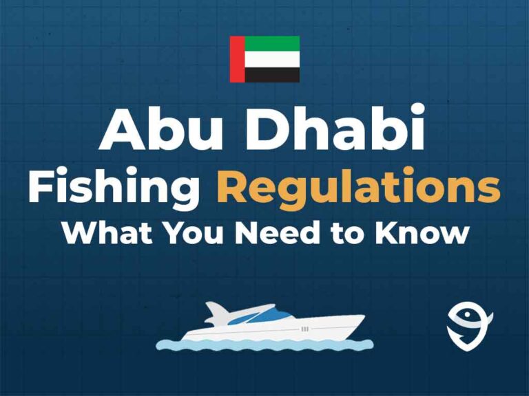 Fishing in ABU DHABI: The Complete Guide