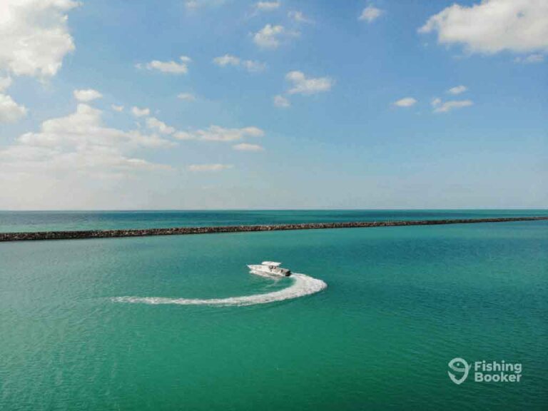 Fishing in ABU DHABI: The Complete Guide