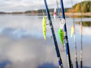 The Best Sheepshead Bait: An Angler’s Guide for 2026
