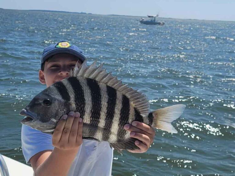 The Best Sheepshead Bait: An Angler’s Guide for 2024