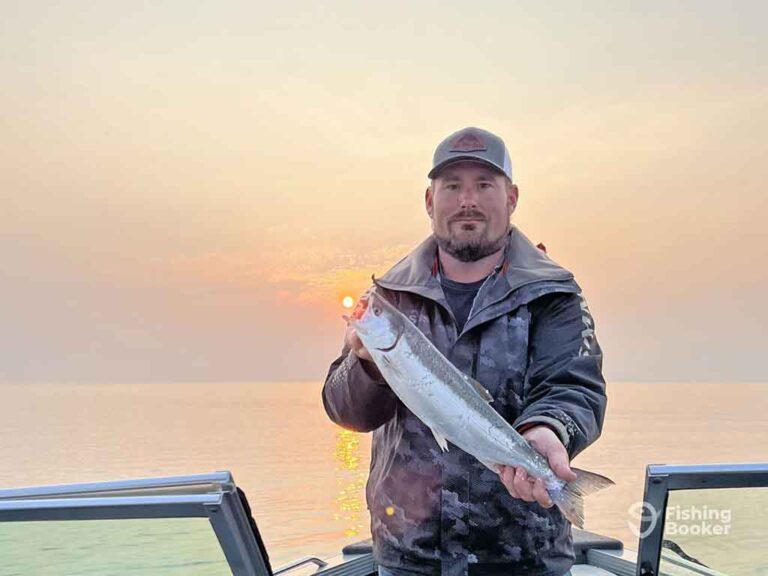 How to Go Salmon Fishing in Wisconsin: An Angler’s Guide for 2024
