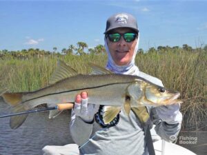 The Best Snook Bait: An Angler’s Guide for 2026