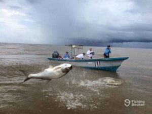 Photo courtesy of Sábalo Costa Rica