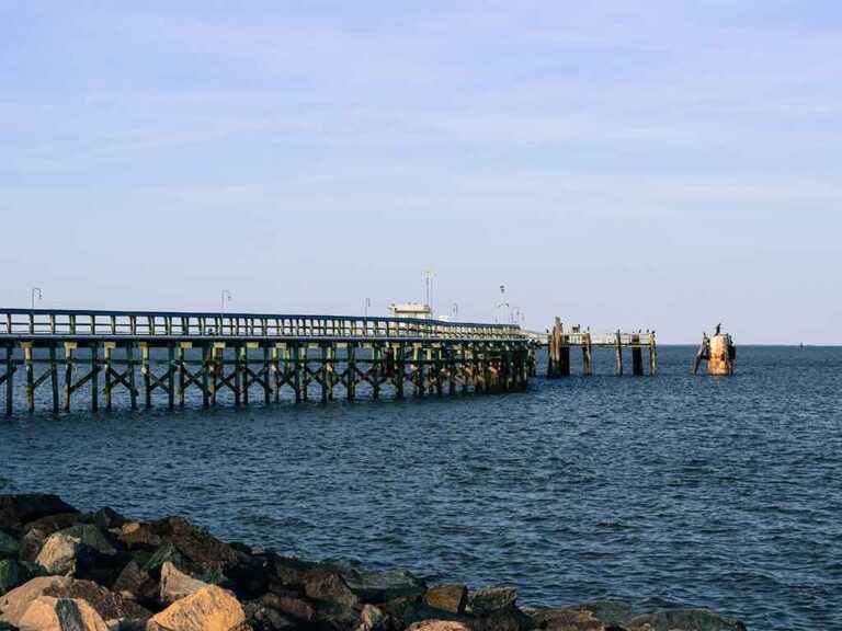 FishingBooker: Delaware Bay Fishing: The Complete Guide