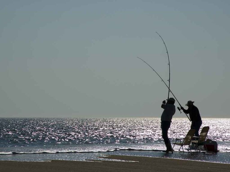Surf Fishing Rods: A Beginner’s Guide for 2024