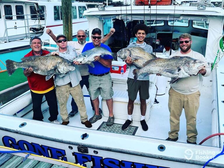 FishingBooker: Delaware Bay Fishing: The Complete Guide