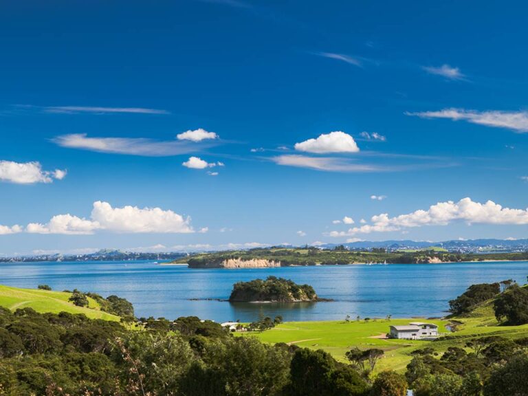 Fishing in AUCKLAND: The Complete Guide