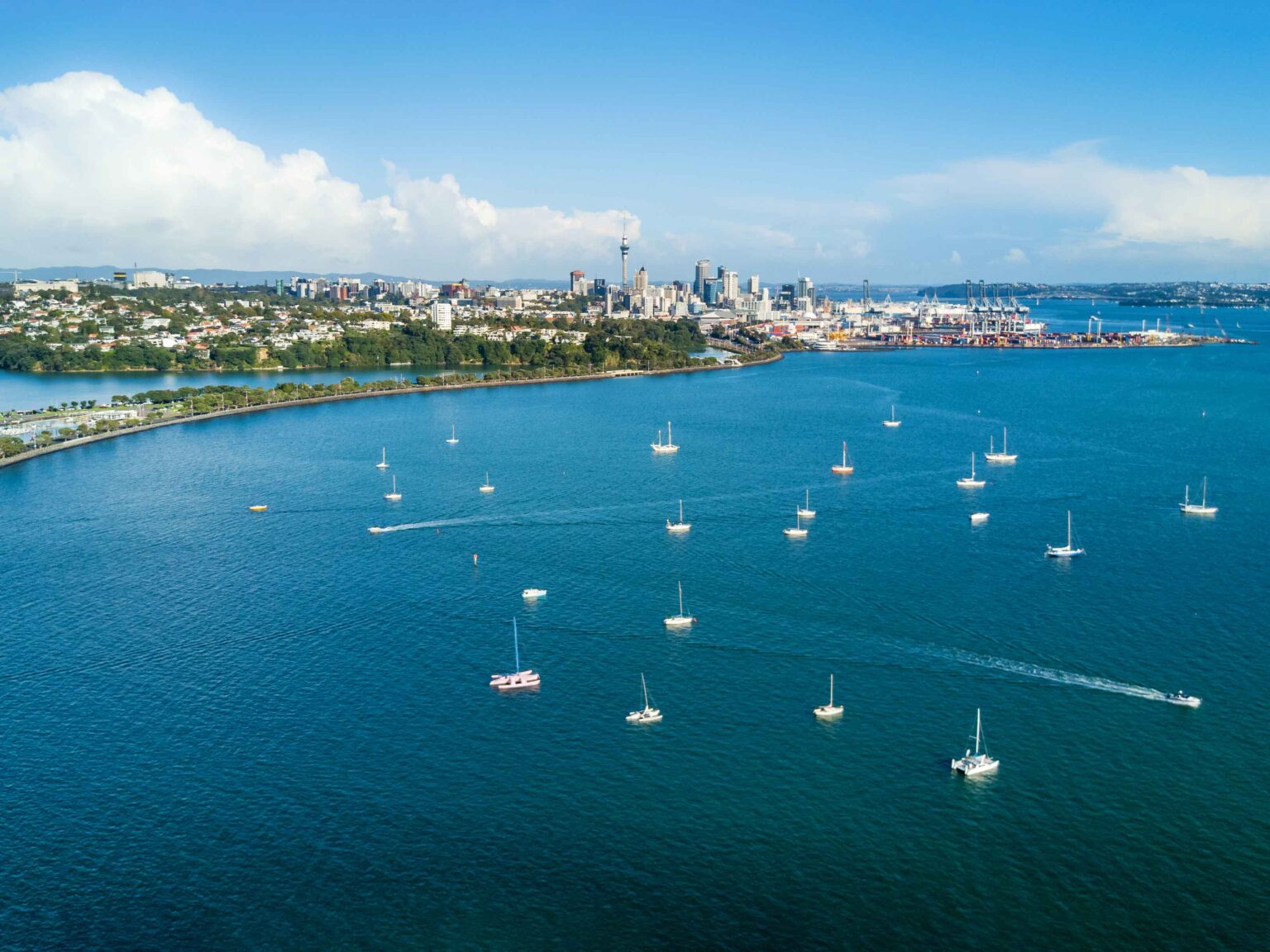 Fishing in AUCKLAND: The Complete Guide