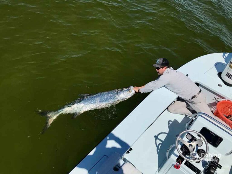 How to Go Tarpon Fishing in South Carolina: An Angler’s Guide for 2025