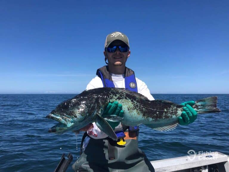 Fishing in OREGON COAST: The Complete Guide [VIDEO]