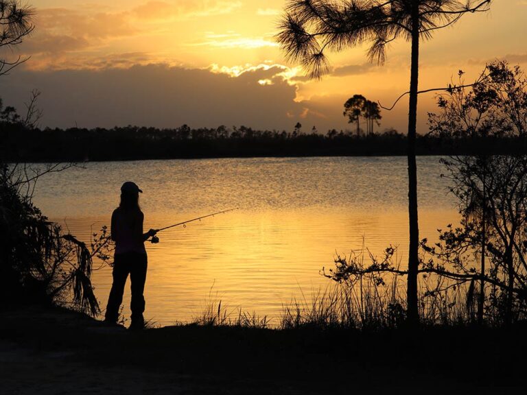 Fishing in EVERGLADES CITY: The Complete Guide