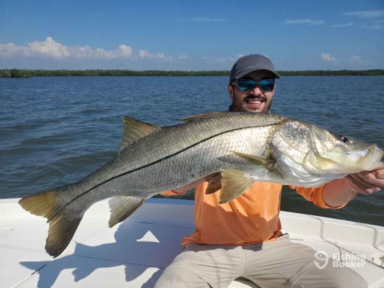 Fishing in EVERGLADES CITY: The Complete Guide [VIDEO]