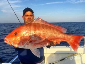 Fishing in EVERGLADES CITY: The Complete Guide