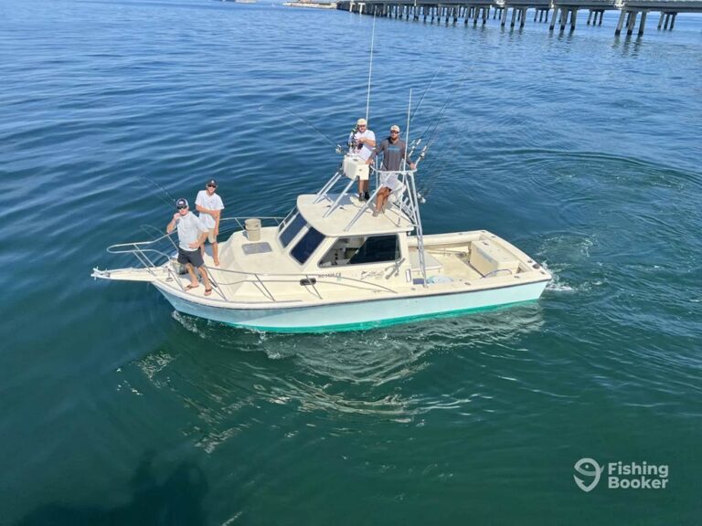 Saltwater Fishing: The Complete Guide for 2026