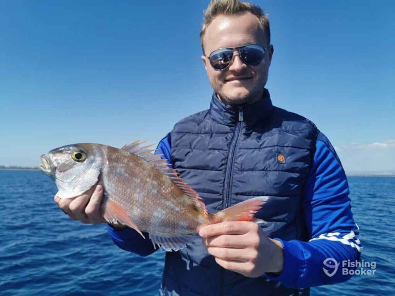 How to Fish for Porgy: The Complete Guide for 2024