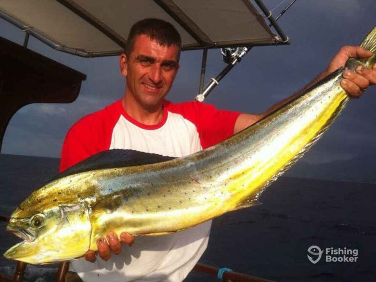 Fishing in CYPRUS: The Complete Guide