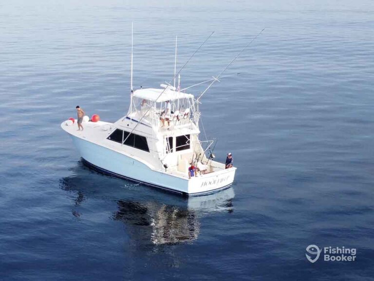 How to Go Marlin Fishing in Panamá: An Angler’s Guide for 2026
