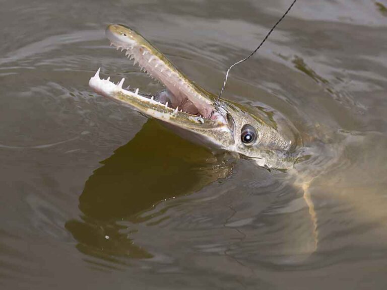 Fishing in OKLAHOMA: The Complete Guide