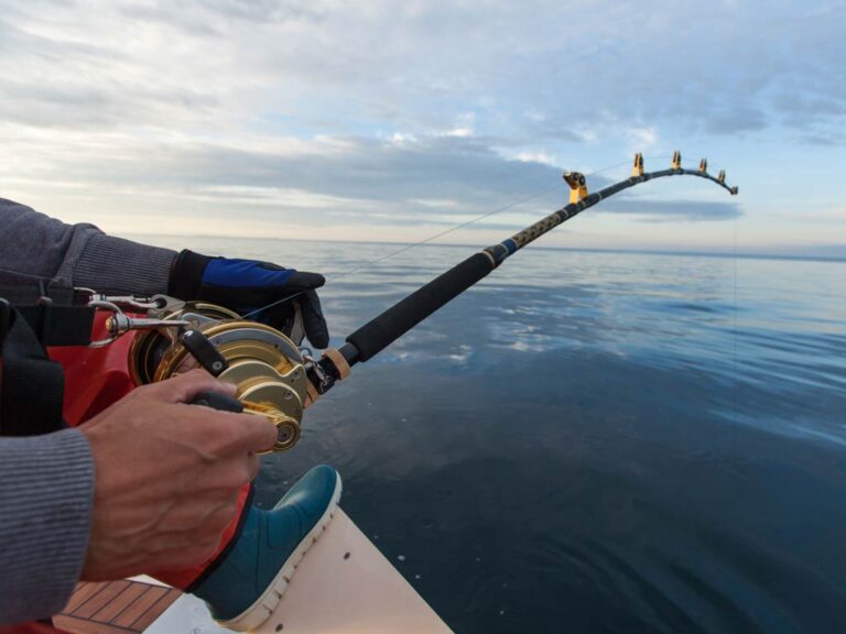Deep Sea Fishing Reels: A Beginner’s Guide for 2026