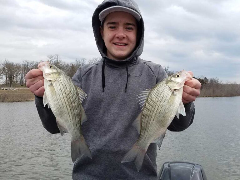 Bass Fishing in Minnesota: An Angler’s Guide for 2026