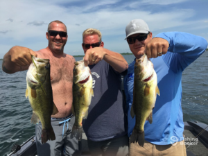 Bass Fishing in Minnesota: An Angler’s Guide for 2026