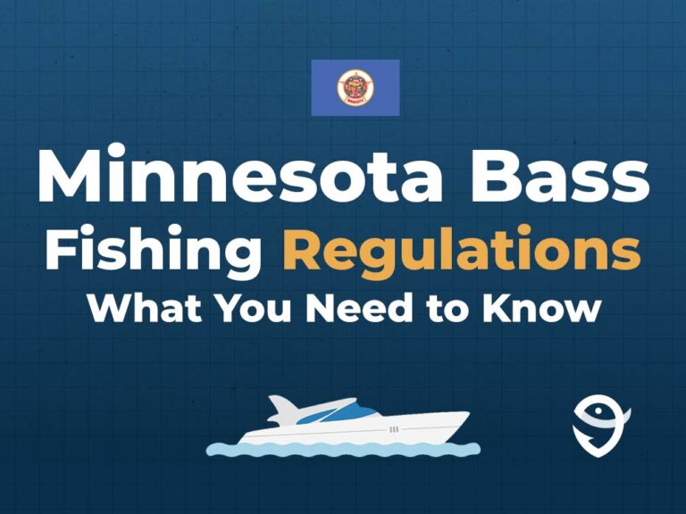 Bass Fishing in Minnesota: An Angler’s Guide for 2026