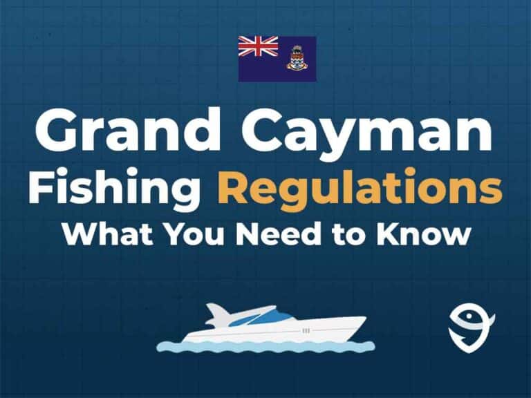 Grand Cayman Fishing Regulations
