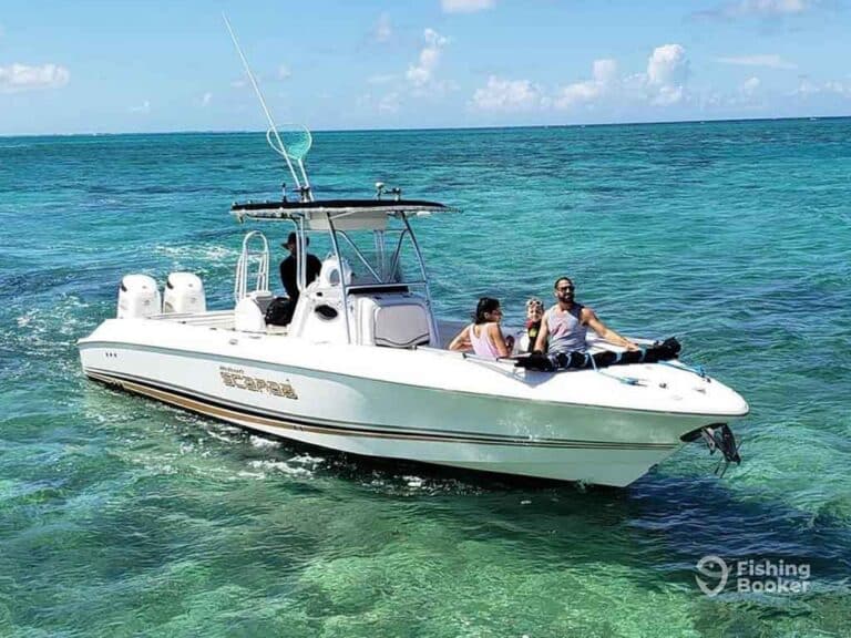 Photo courtesy of Mango Jam Charters