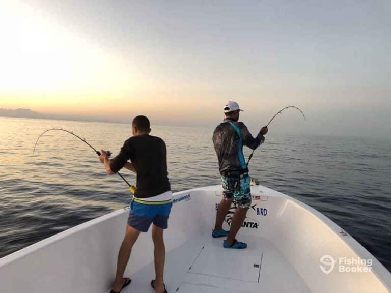 Fishing in EGYPT: The Complete Guide