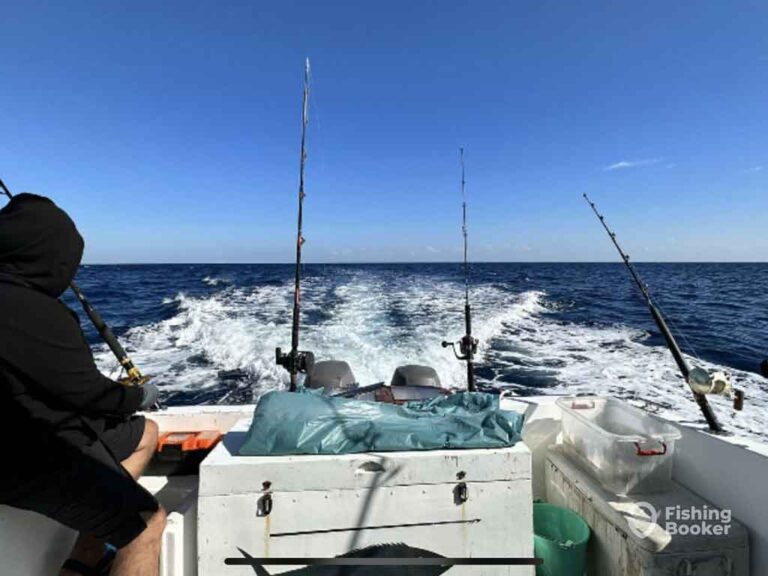 Fishing in EGYPT: The Complete Guide